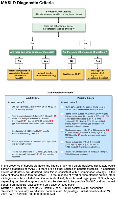 New MASLD Nomenclature | AASLD New MASLD Nomenclature | AASLD